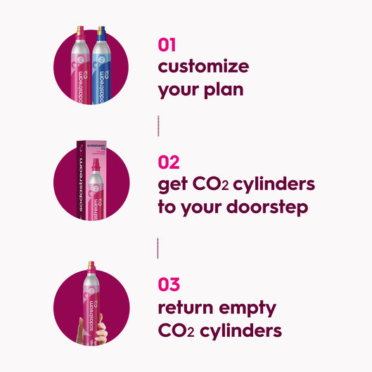 Exchange and refill C02 gas cylinders (incl. Pink Quick Connect ...
