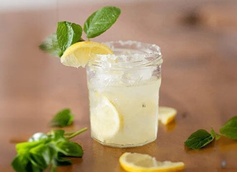 SodaStream Sparkling Water Recipes & Drink Ideas